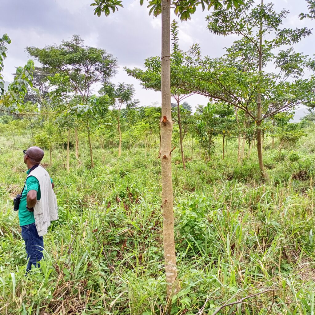 Home - A Rocha Ghana